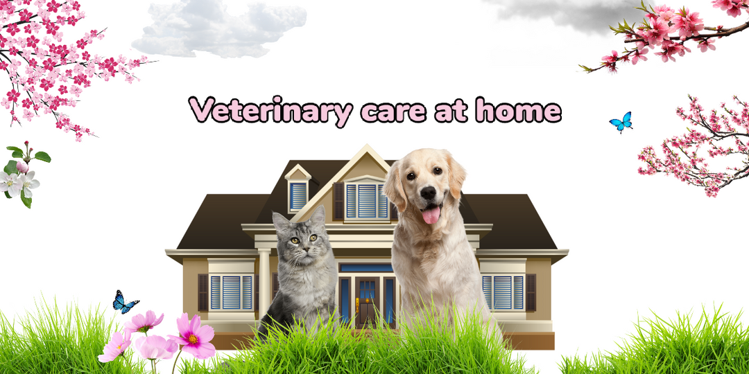 Veterinary Mobile Ottawa Dog Cat Vaccines Exam, vet meds Delivery ...